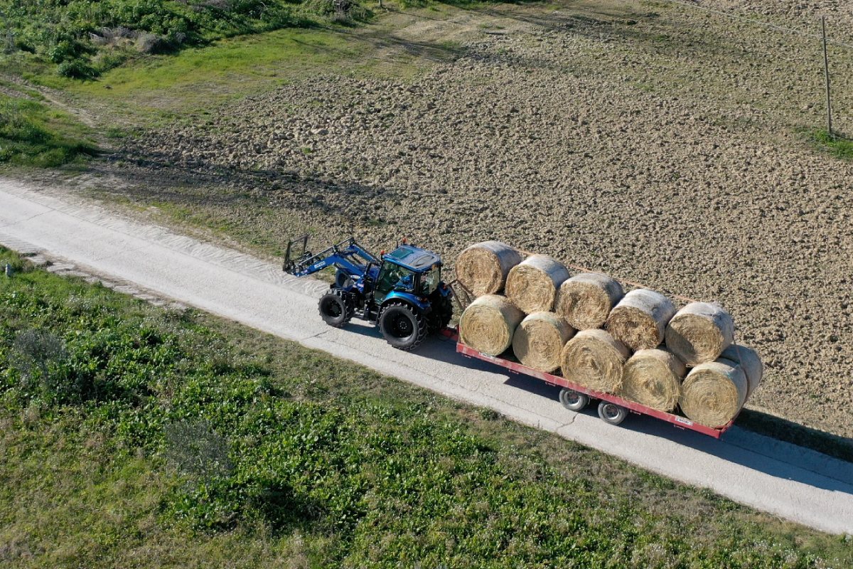 I trattori utility della Serie 5 di Landini - Agrimeccanica - AgroNotizie
