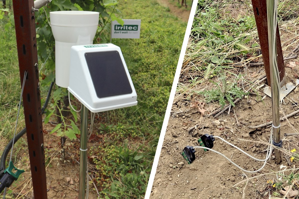Sistemi agrometeo Irritec a Enovitis in campo 2024 - Agrimeccanica ...
