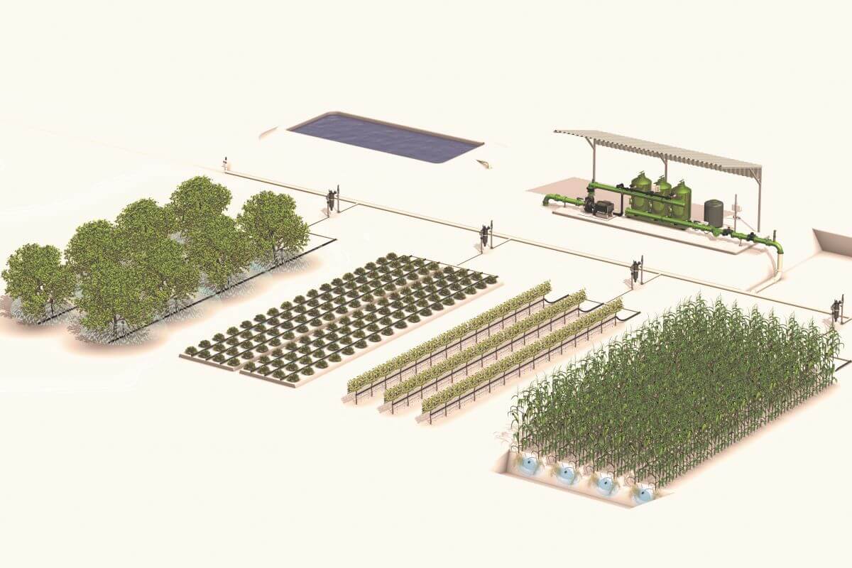 Creare e gestire un impianto irriguo con Rivulis - Agrimeccanica ...