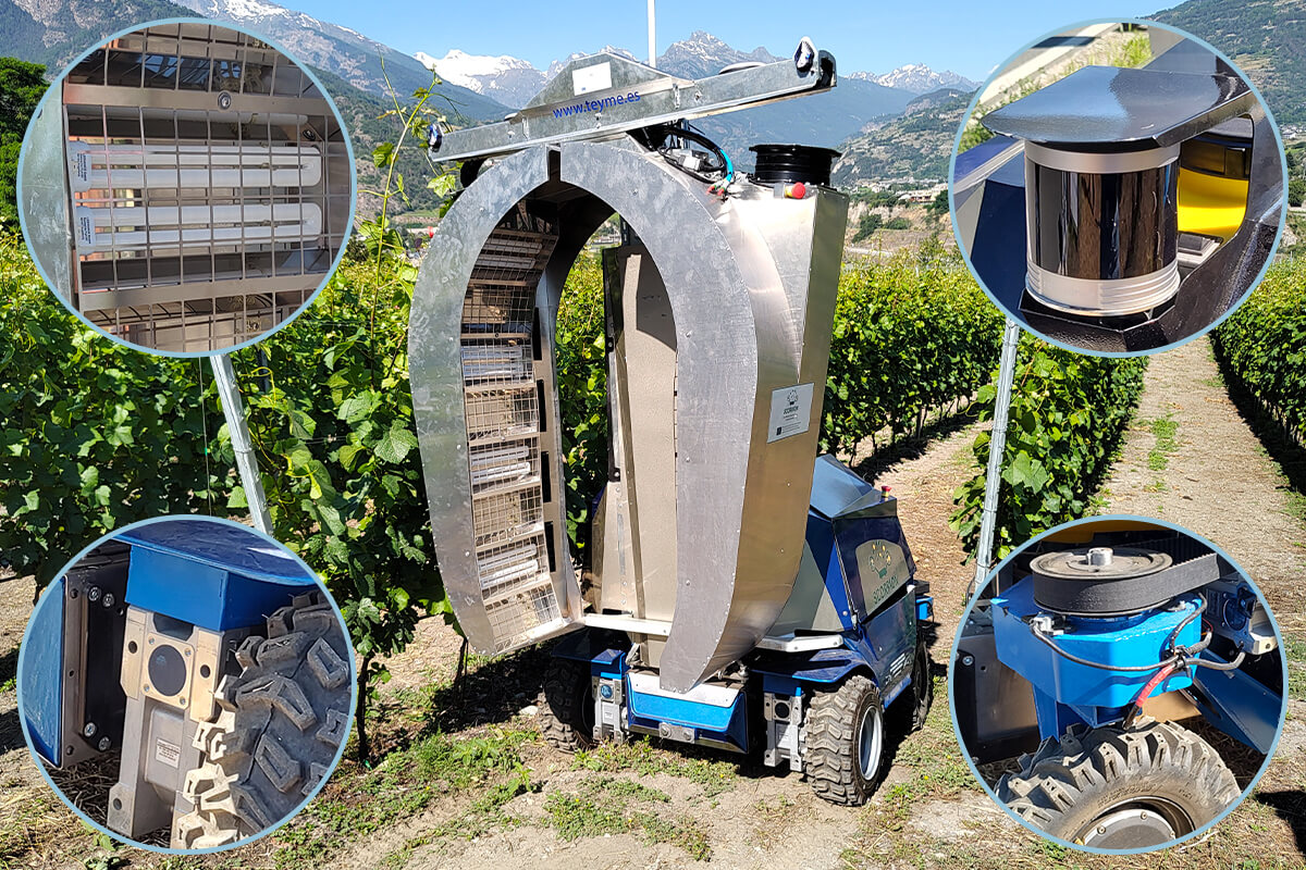 Weta Robot rivoluziona i trattamenti in vigneto con i raggi UV ...