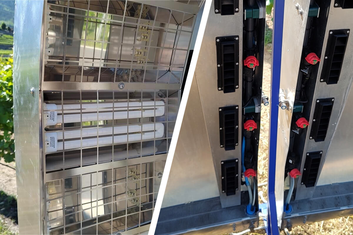 Weta Robot rivoluziona i trattamenti in vigneto con i raggi UV ...